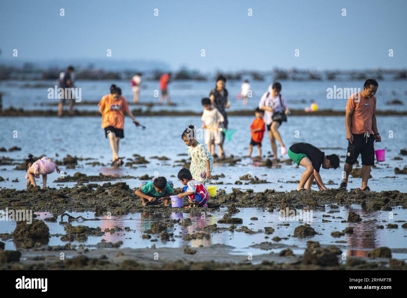 People pick up shells at the seaside in Qionghai City, southernmost ...