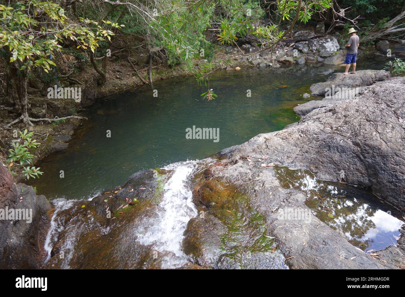 Dead Horse Creek, Cardwell Forest Drive, near Cardwell, Queensland ...