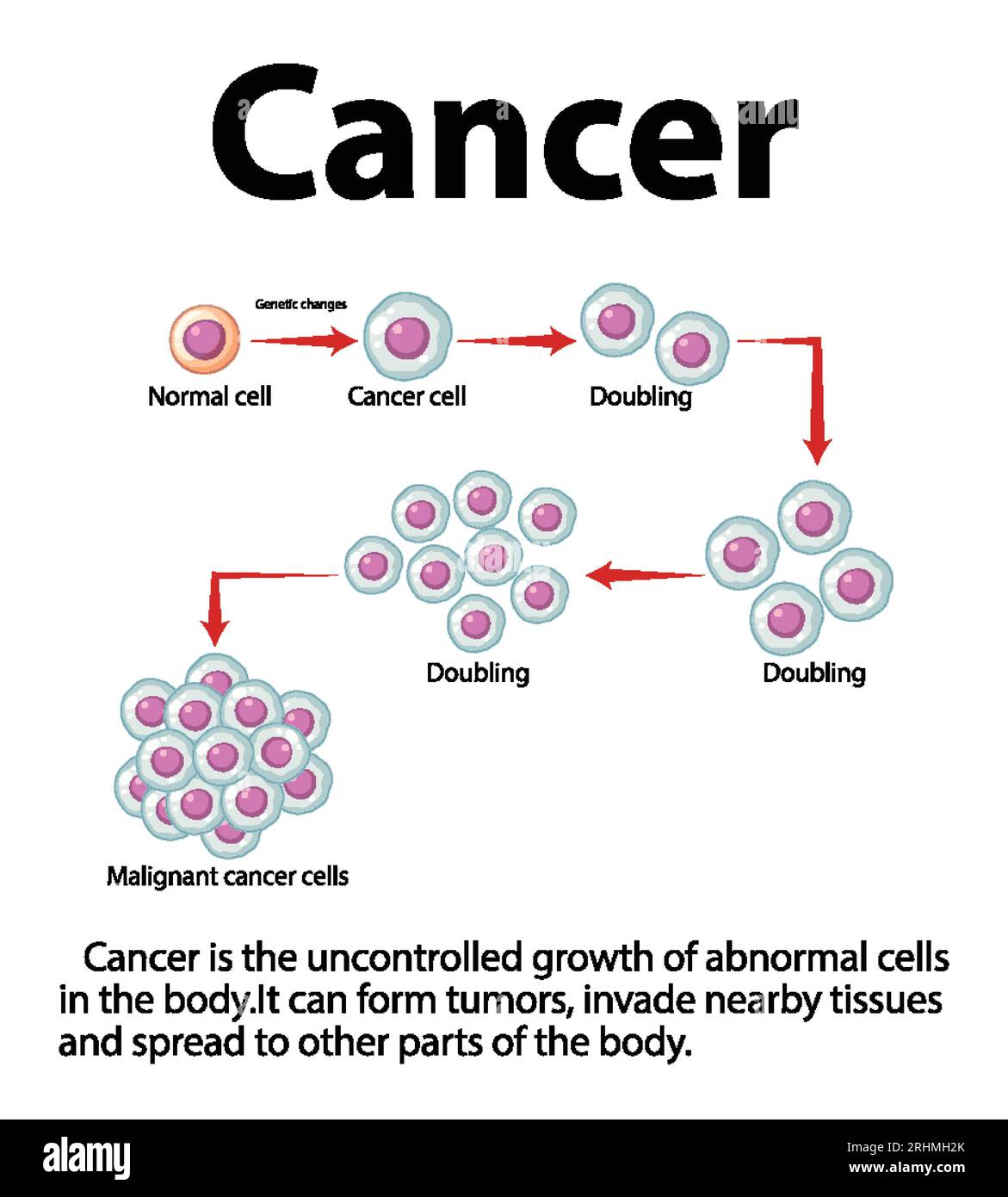 Illustrated infographic showcasing the development and processing of ...
