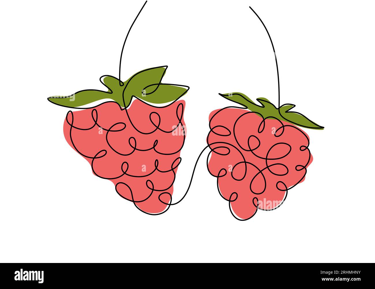 Raspberry continuous one line drawing, fruit vector illustration Stock ...