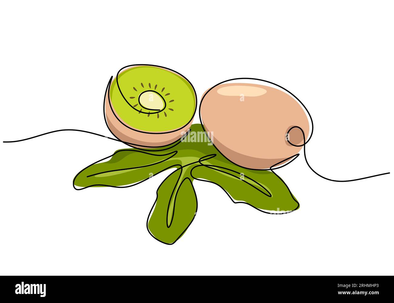 Kiwi continuous one line drawing, fruit vector illustration Stock ...