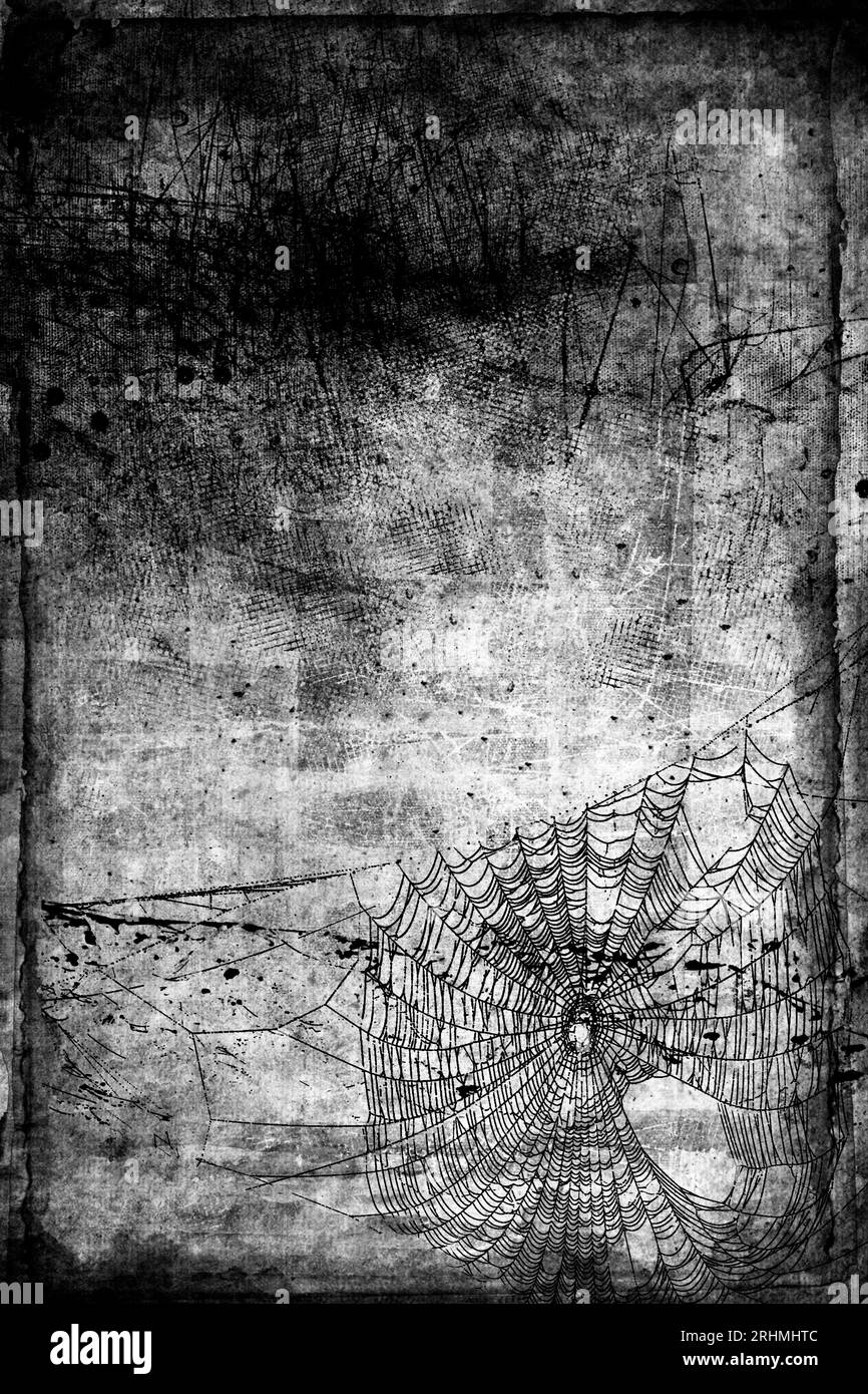 Spider web design Black and White Stock Photos & Images - Alamy