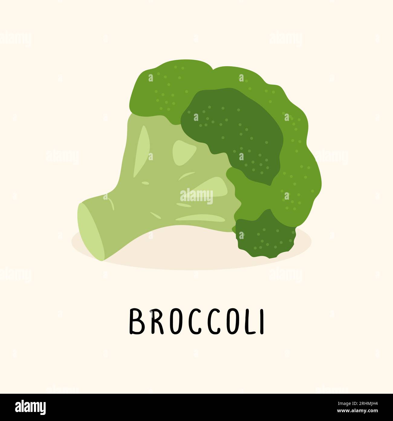 broccoli vector flat illustration, isolated on white background Stock ...