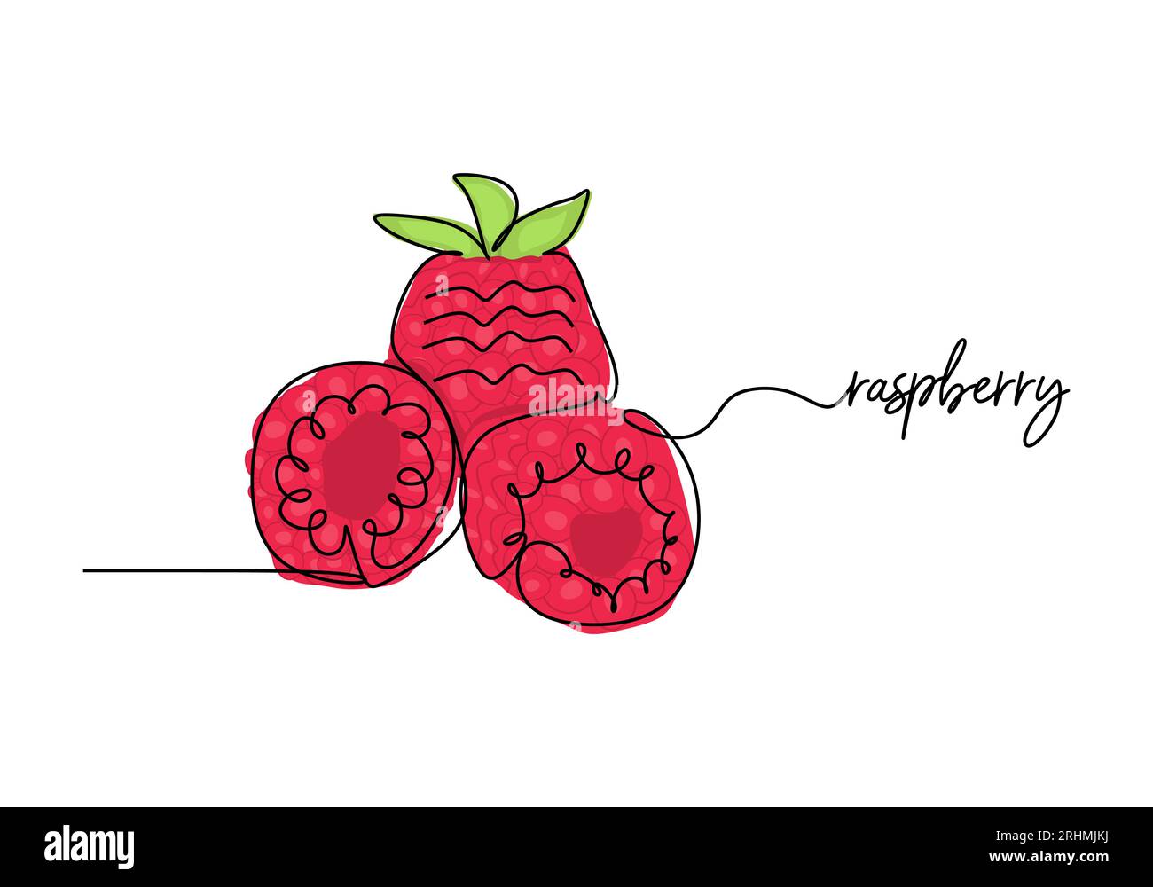 Raspberry continuous one line drawing, fruit vector illustration Stock ...