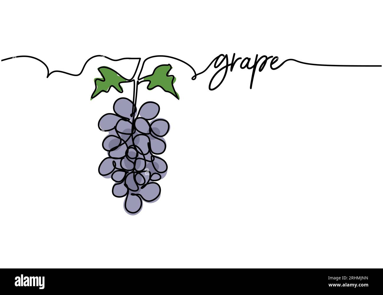 Grapes continuous one line drawing, fruit vector illustration Stock ...