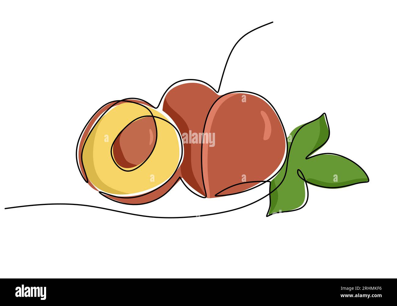 Peach continuous one line drawing, fruit vector illustration Stock ...