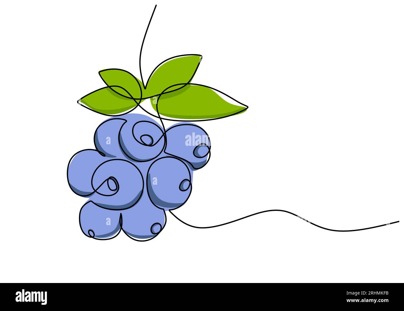 Blueberry continuous one line drawing, fruit vector illustration Stock ...