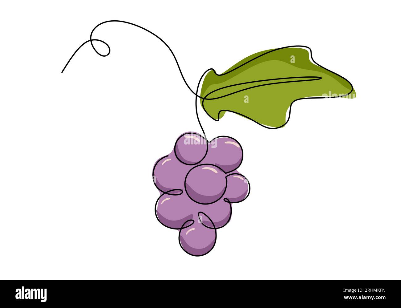 Grapes continuous one line drawing, fruit vector illustration Stock ...