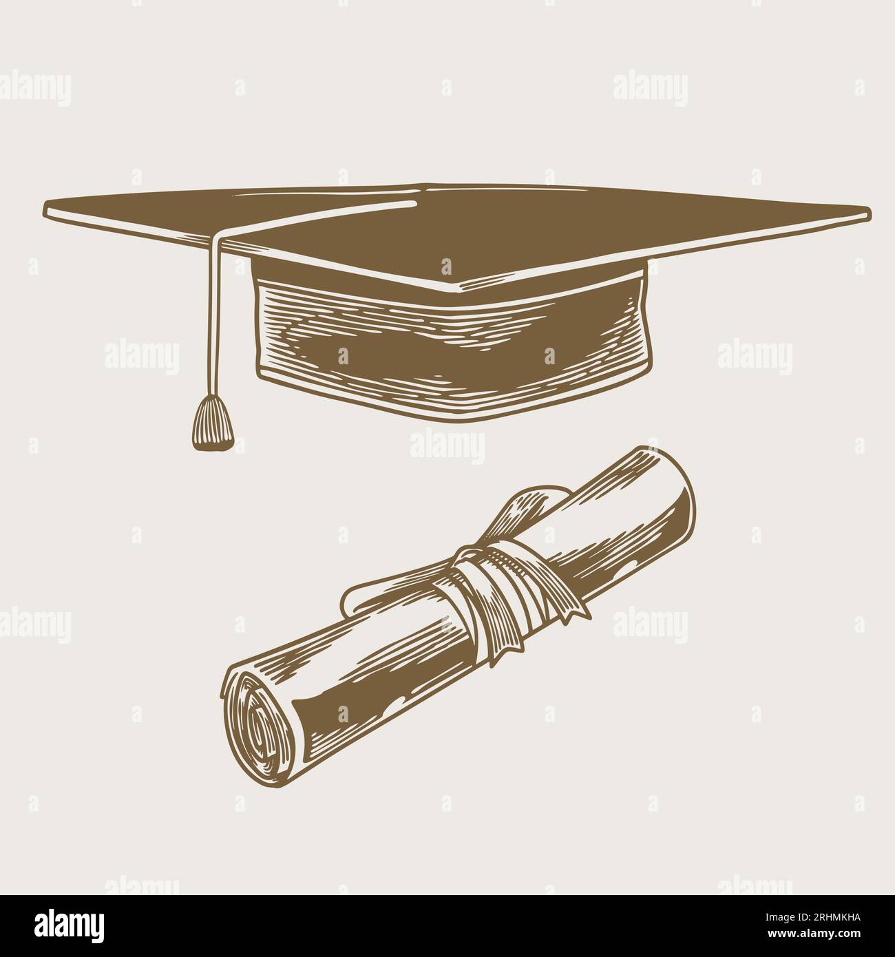 Rolled Diploma Vector