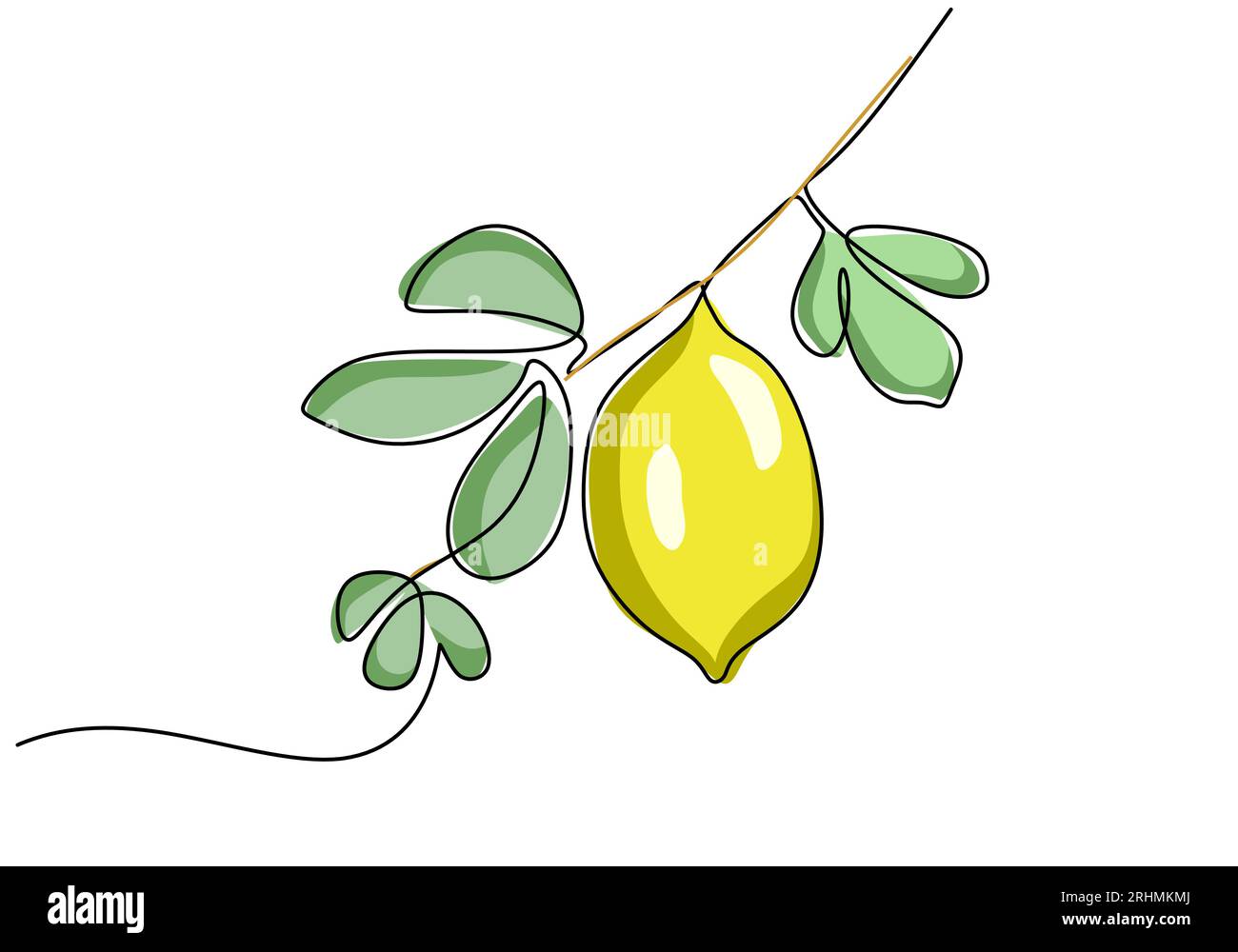 Orange continuous one line drawing, fruit vector illustration Stock ...