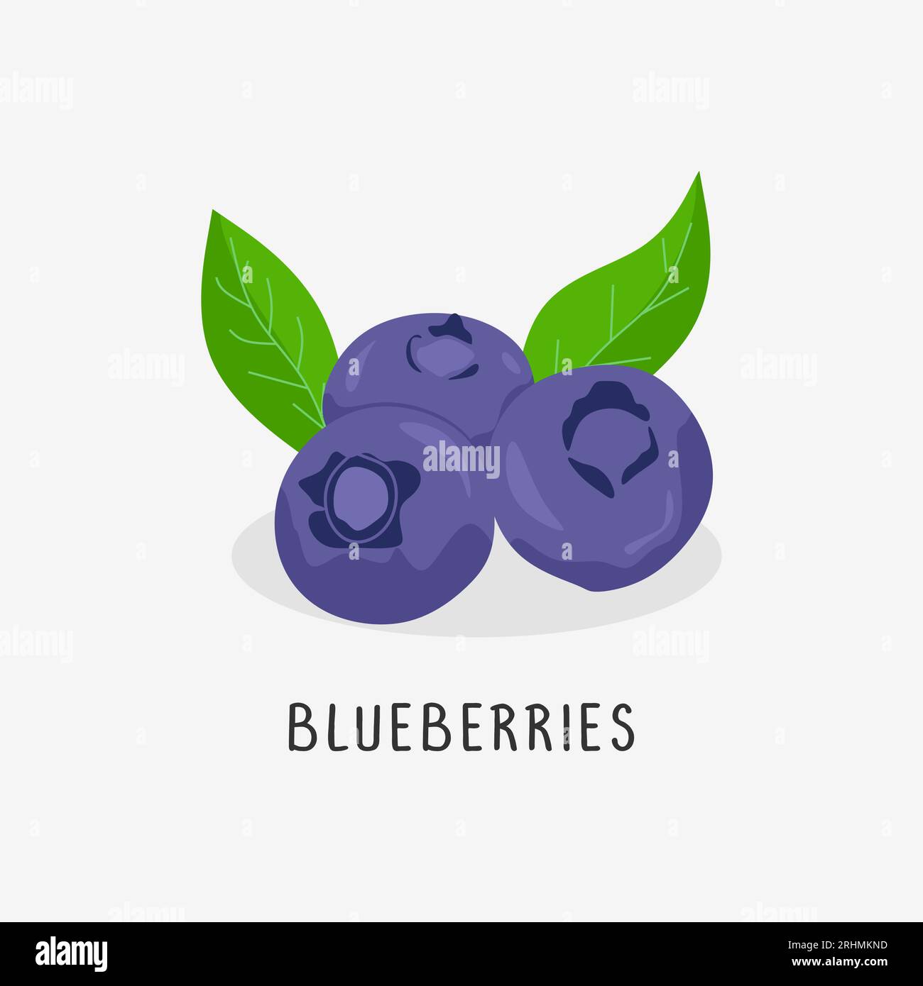 blueberries vector flat illustration, isolated on white background ...