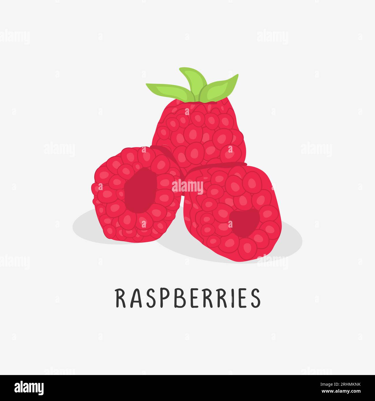 raspberries vector flat illustration, isolated on white background ...