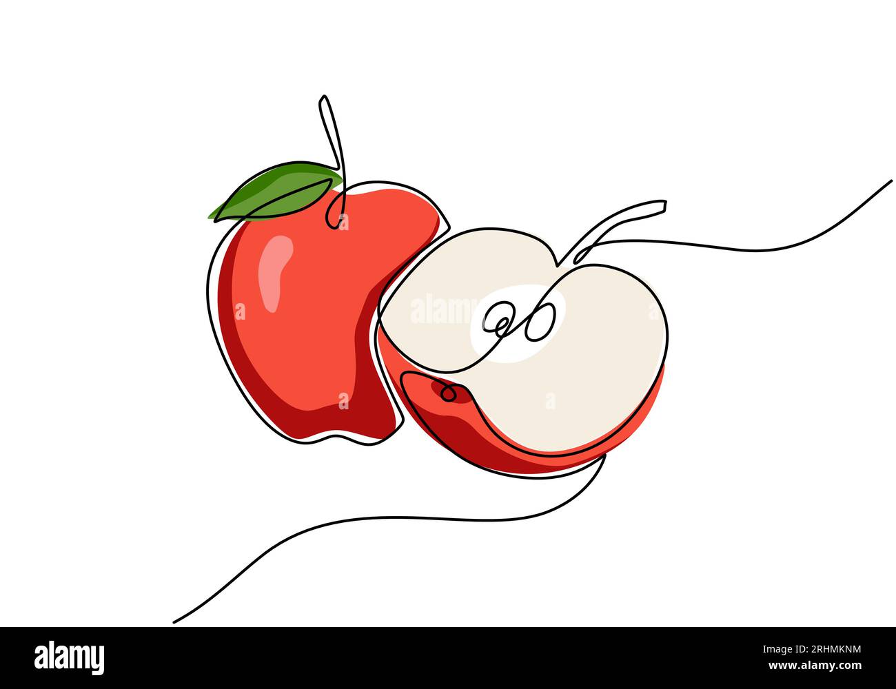 Apple continuous one line drawing, fruit vector illustration Stock ...