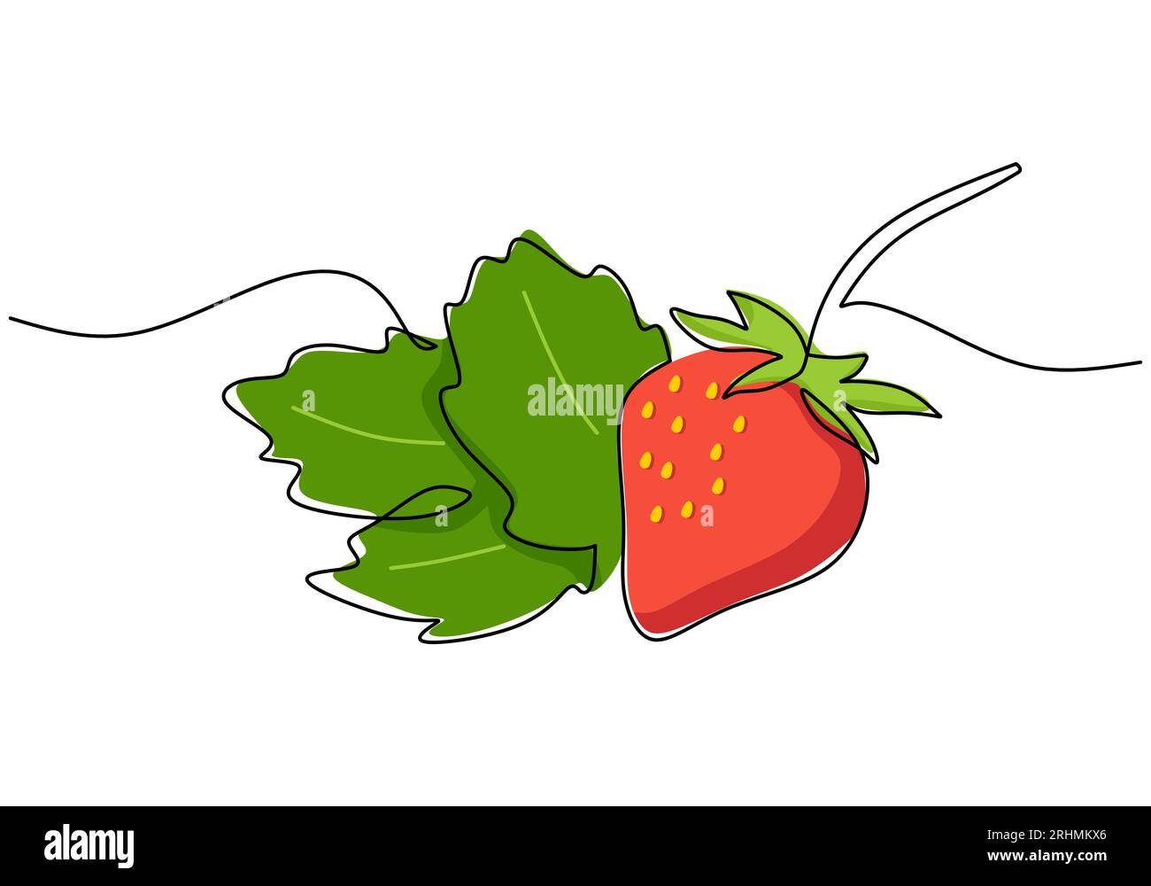 Strawberry continuous one line drawing, fruit vector illustration Stock ...