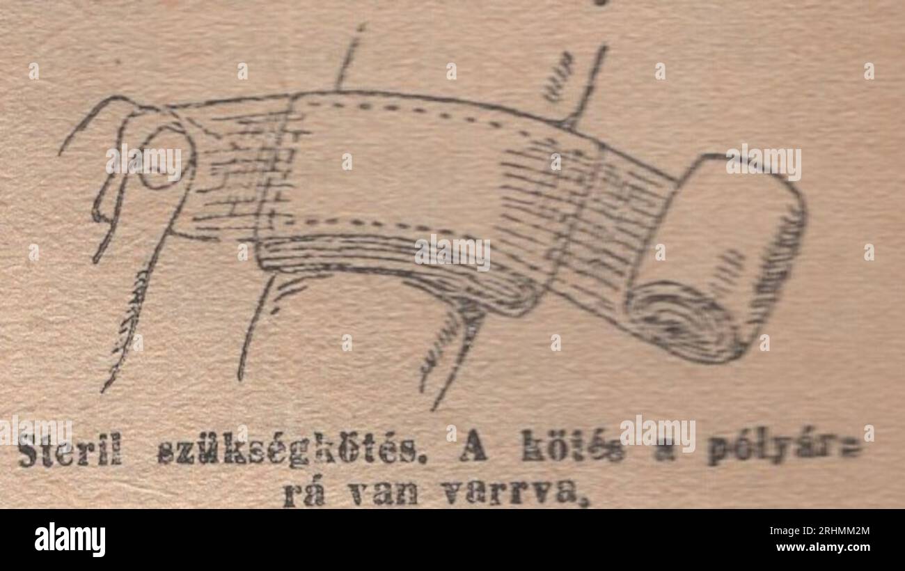 Vintage Illustrated Dictionary from the 1940s Családi kis Lexikon ...