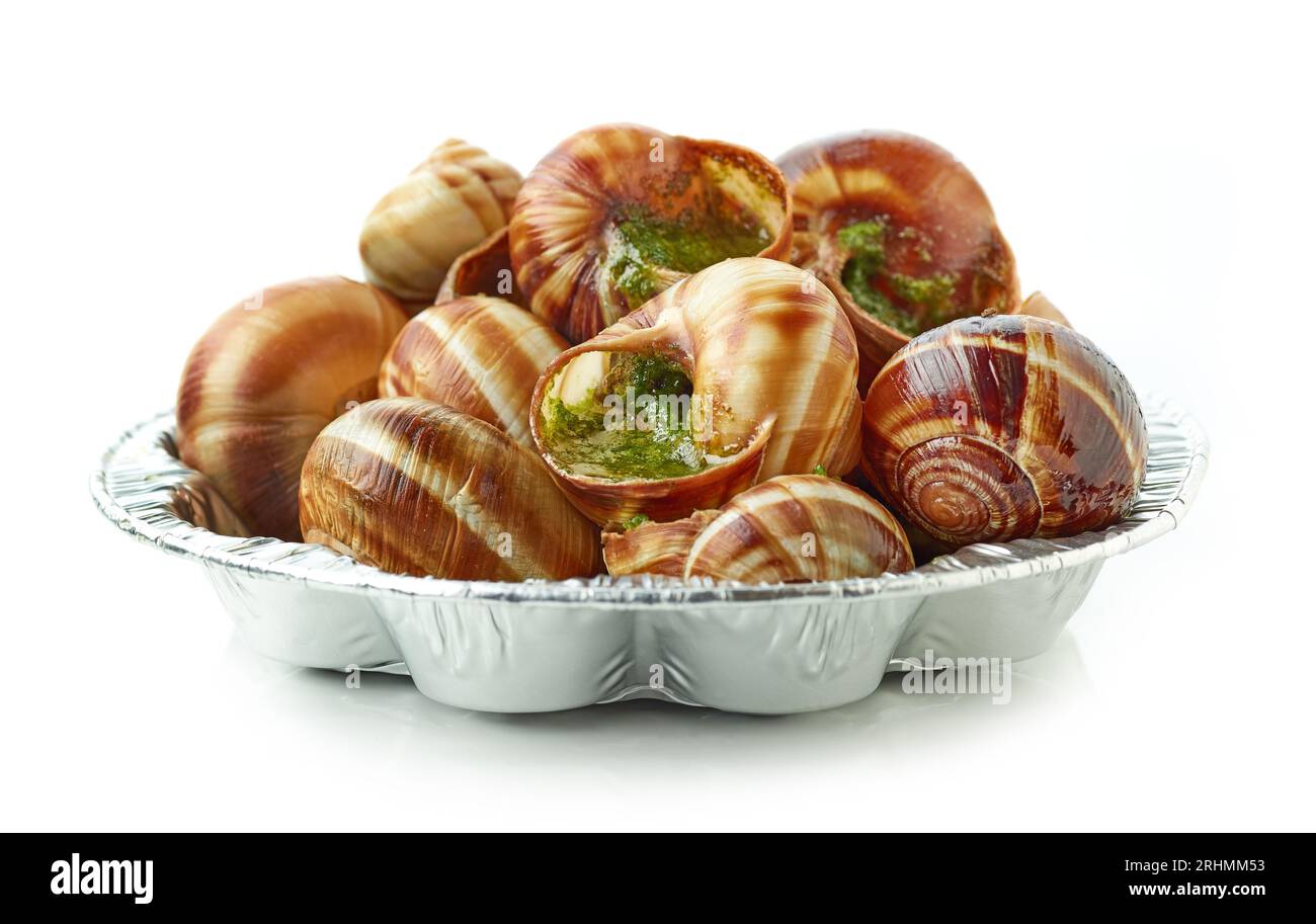 escargot snail filled with garlic and parsley butter isolated on white ...