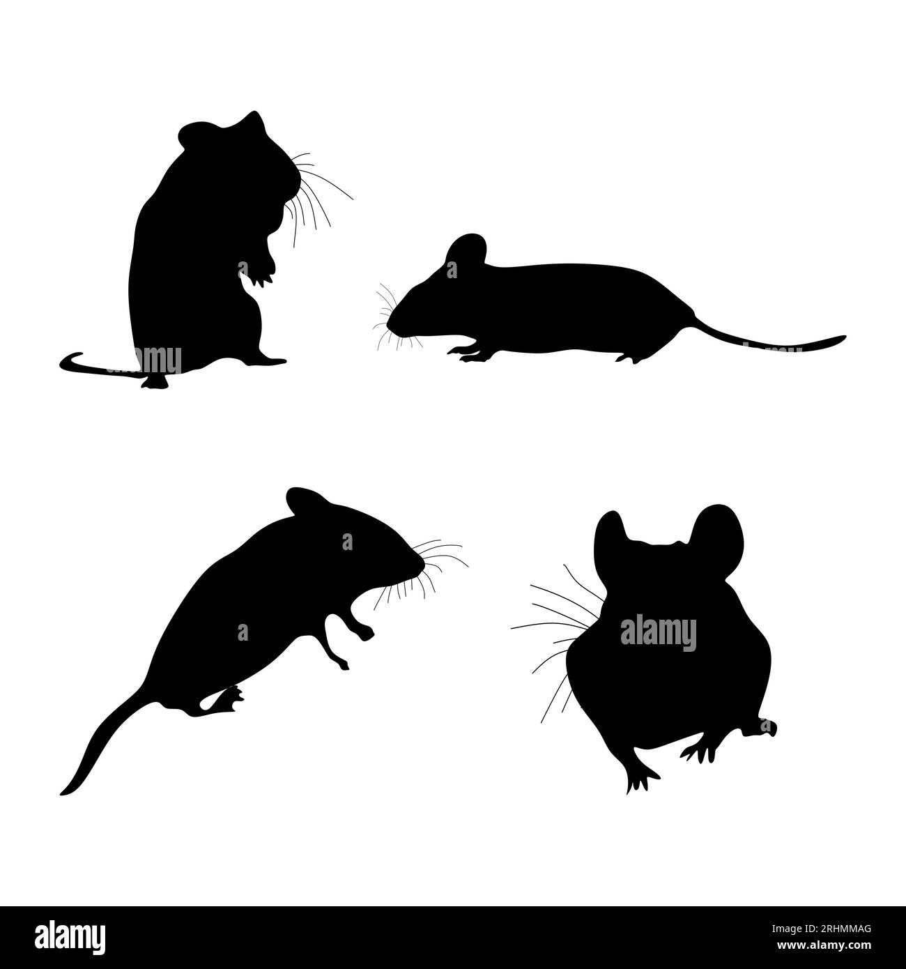 Four rat silhouette set isolated on white background Stock Vector Image ...