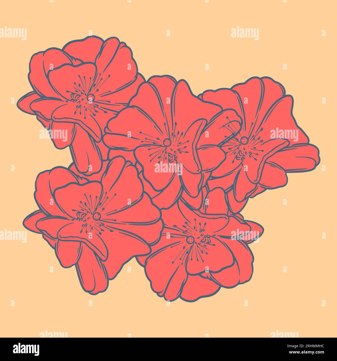 Hand drawn flower botanical drawing of sakura isolated on bright ...