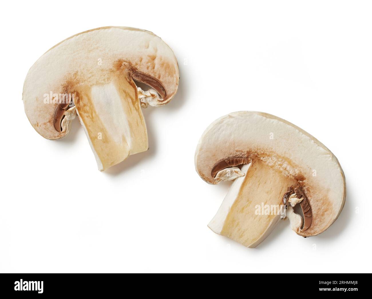 closeup of fresh raw mushroom slices isolated on white background, top ...