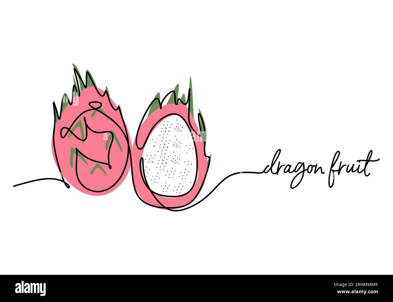 Dragon fruit continuous one line drawing, fruit vector illustration ...