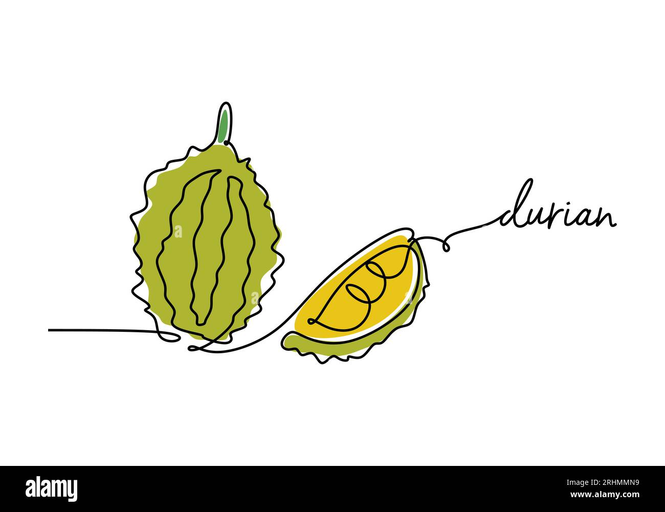 Durian line drawing hi-res stock photography and images - Alamy
