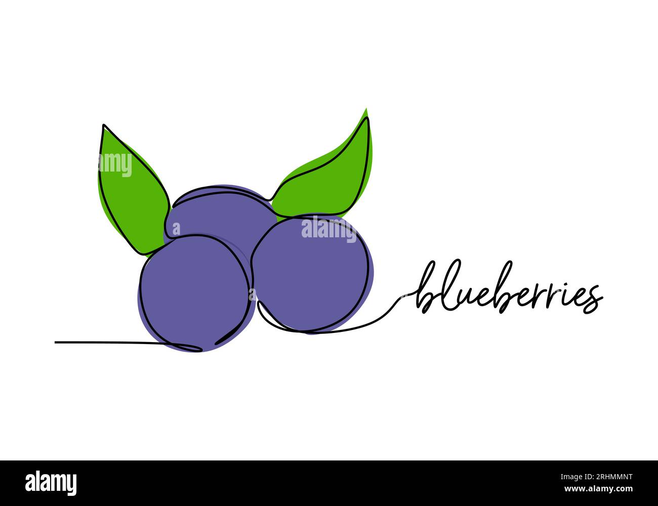 Blueberry continuous one line drawing, fruit vector illustration Stock ...