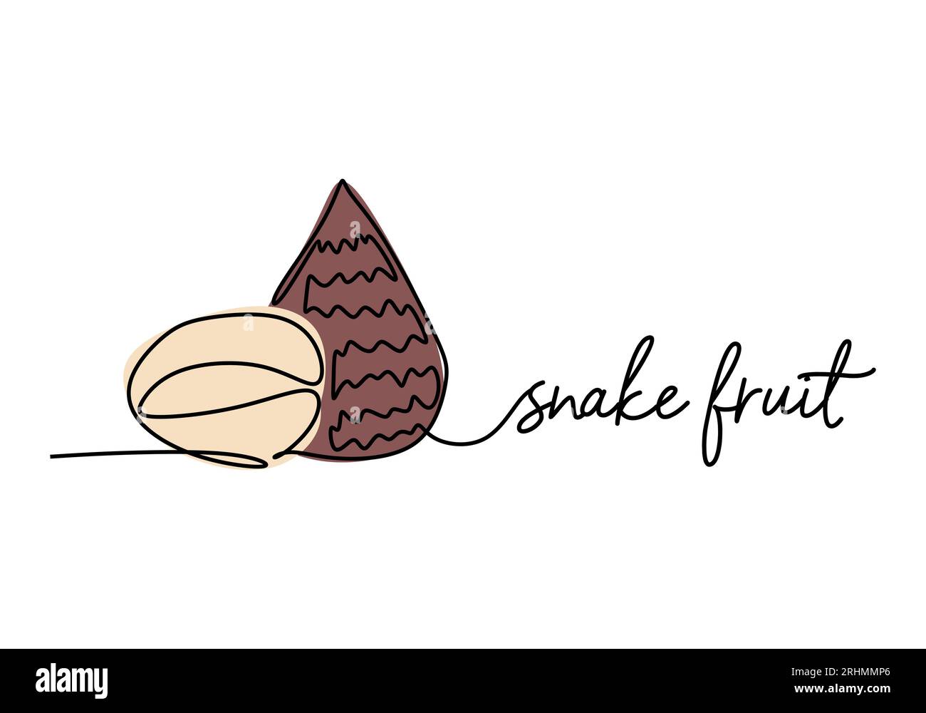 Snake fruit continuous one line drawing, fruit vector illustration ...