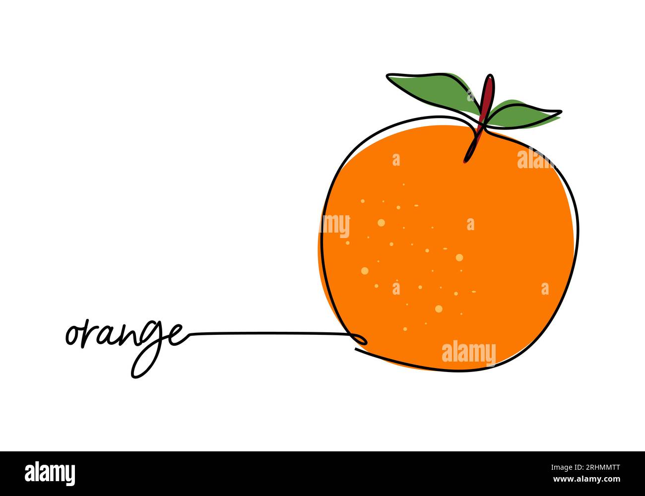Orange continuous one line drawing, fruit vector illustration Stock ...