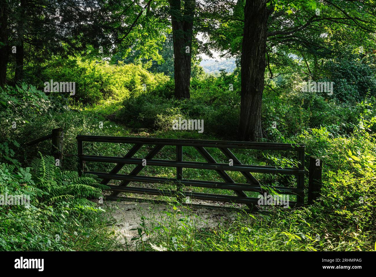 Goshen farm hi-res stock photography and images - Alamy