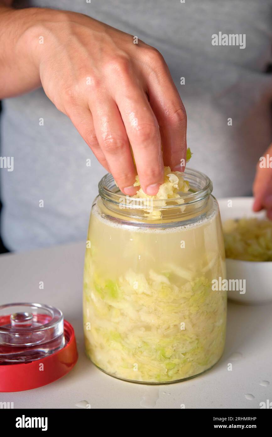 Man hands putting cabbage into the fermentation jar to prepare ...