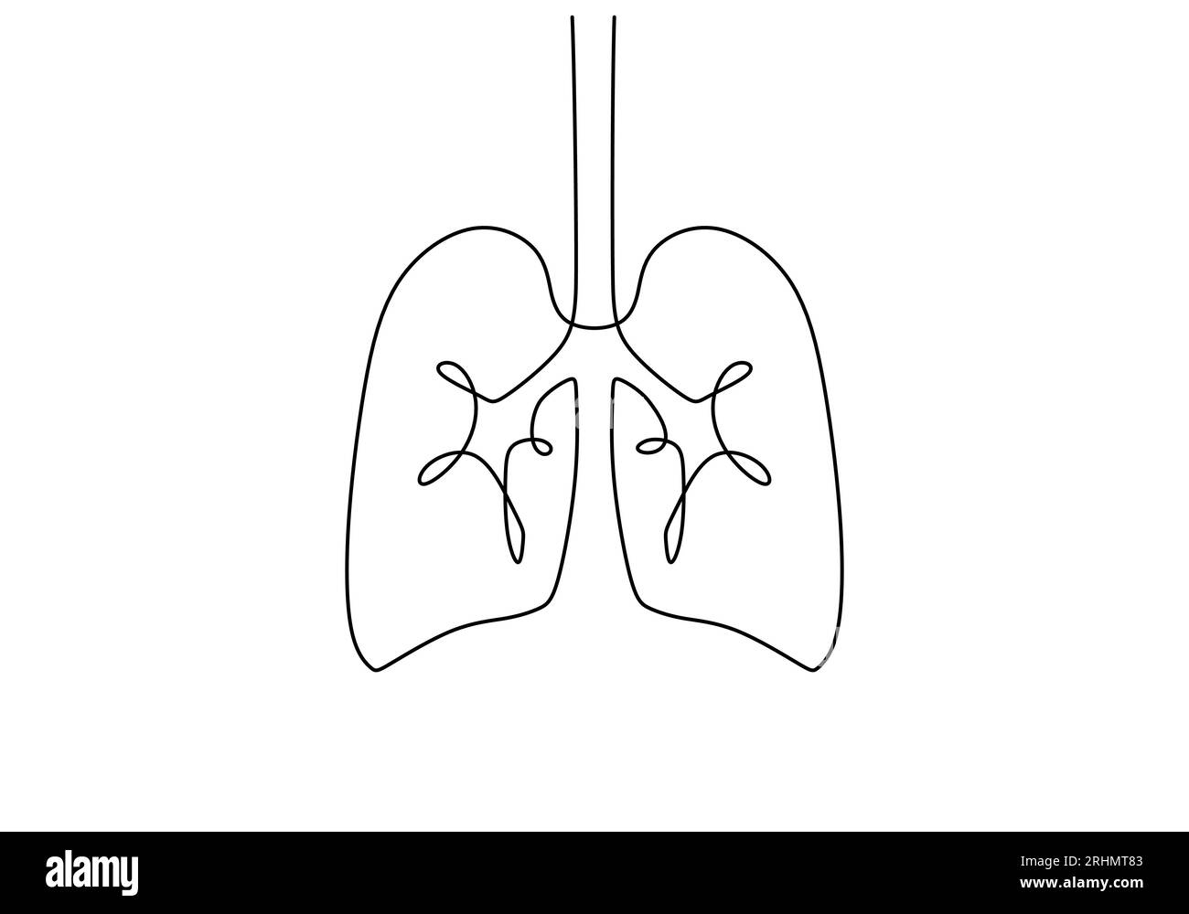 Continuous one single line of lungs anatomy isolated on white ...