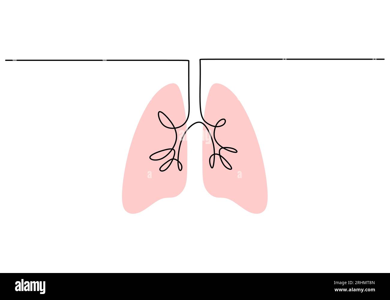 Continuous one single line of lungs anatomy isolated on white ...