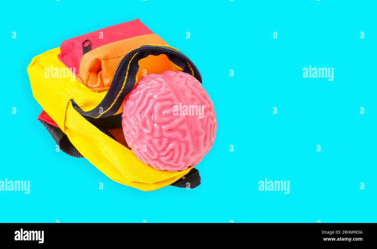 Close-up view of a human brain model placed inside an open toy yellow ...