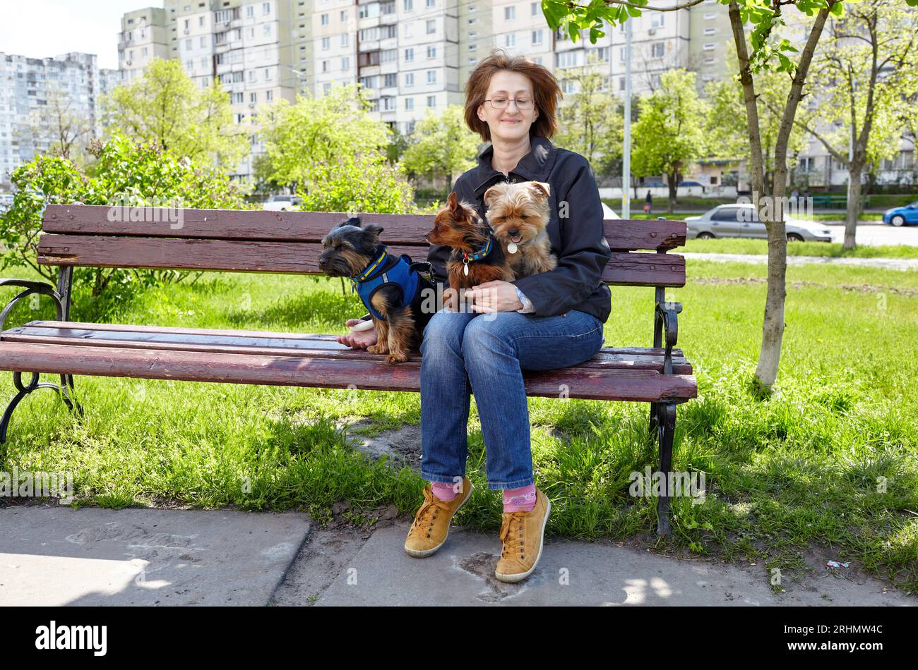 Owner with three dogs sitting on a bench in the summer city park ...