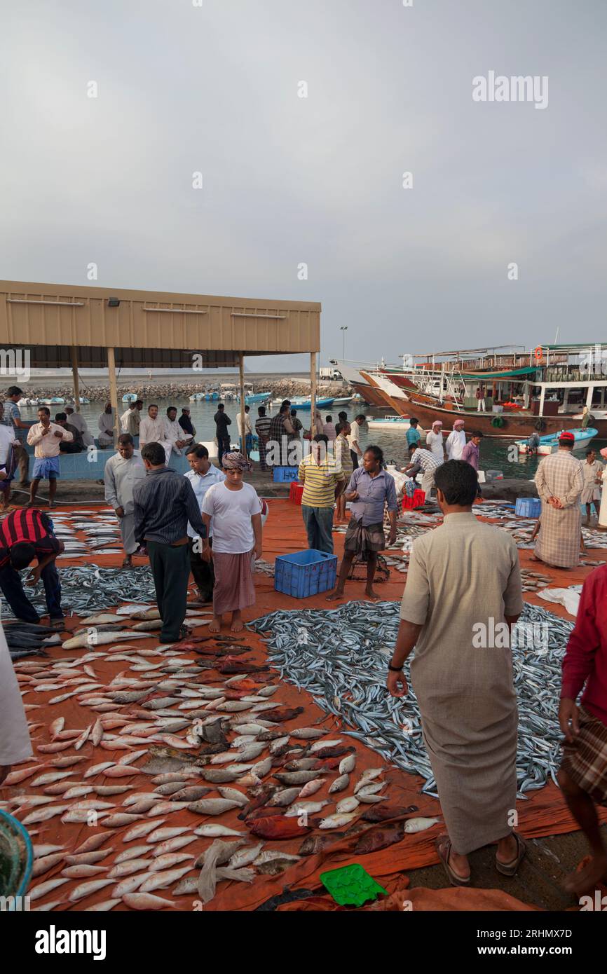 United Arab Emirates, Dibba, impromptu fish market Stock Photo - Alamy
