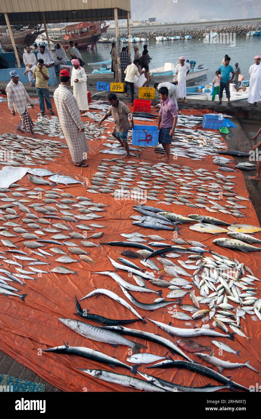 United Arab Emirates, Dibba, impromptu fish market Stock Photo - Alamy