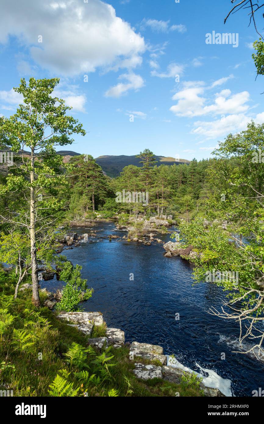 River Cannich and native woodland in Glen Cannich Stock Photo - Alamy