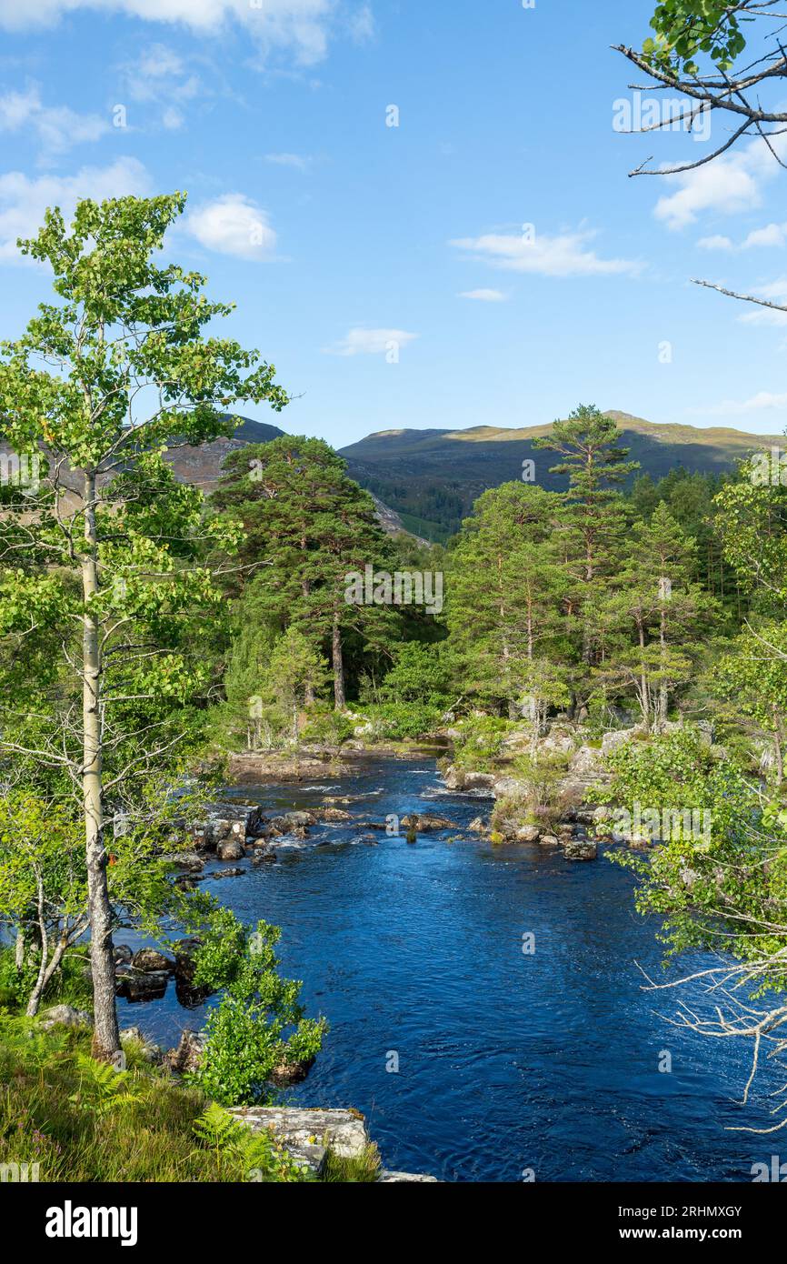 River Cannich and native woodland in Glen Cannich Stock Photo - Alamy