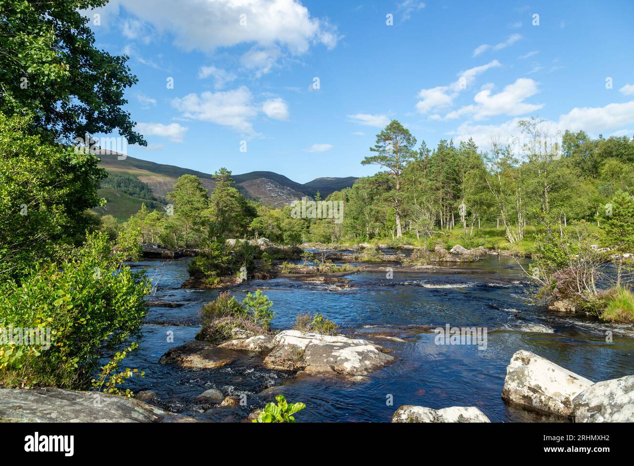 River Cannich and native woodland in Glen Cannich Stock Photo - Alamy