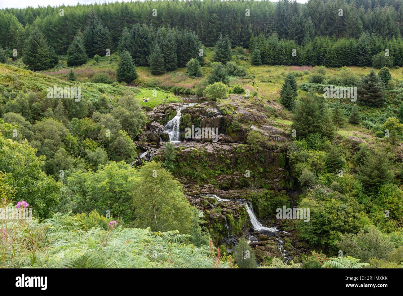 The River Endrick at Loup of Fintry waterfalls near Fintry, Scotland ...