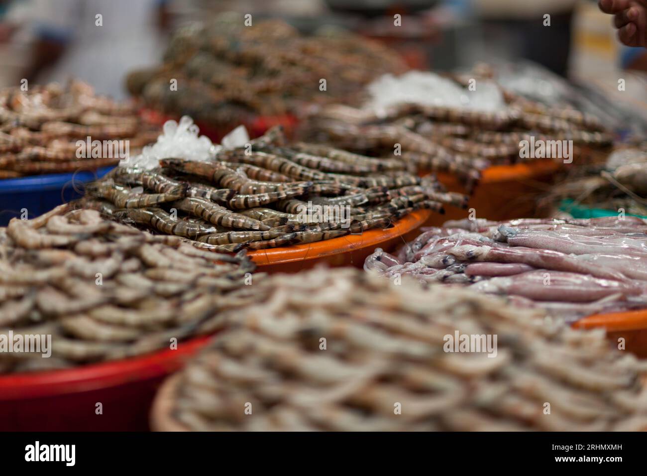 United Arab Emirates, Abu Dhabi, Tiger Prawns on display at the Diera ...
