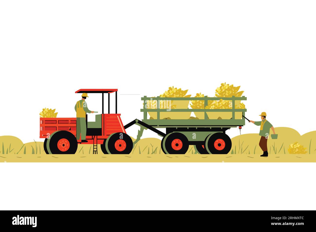 Crops crop of rye Stock Vector Images - Alamy