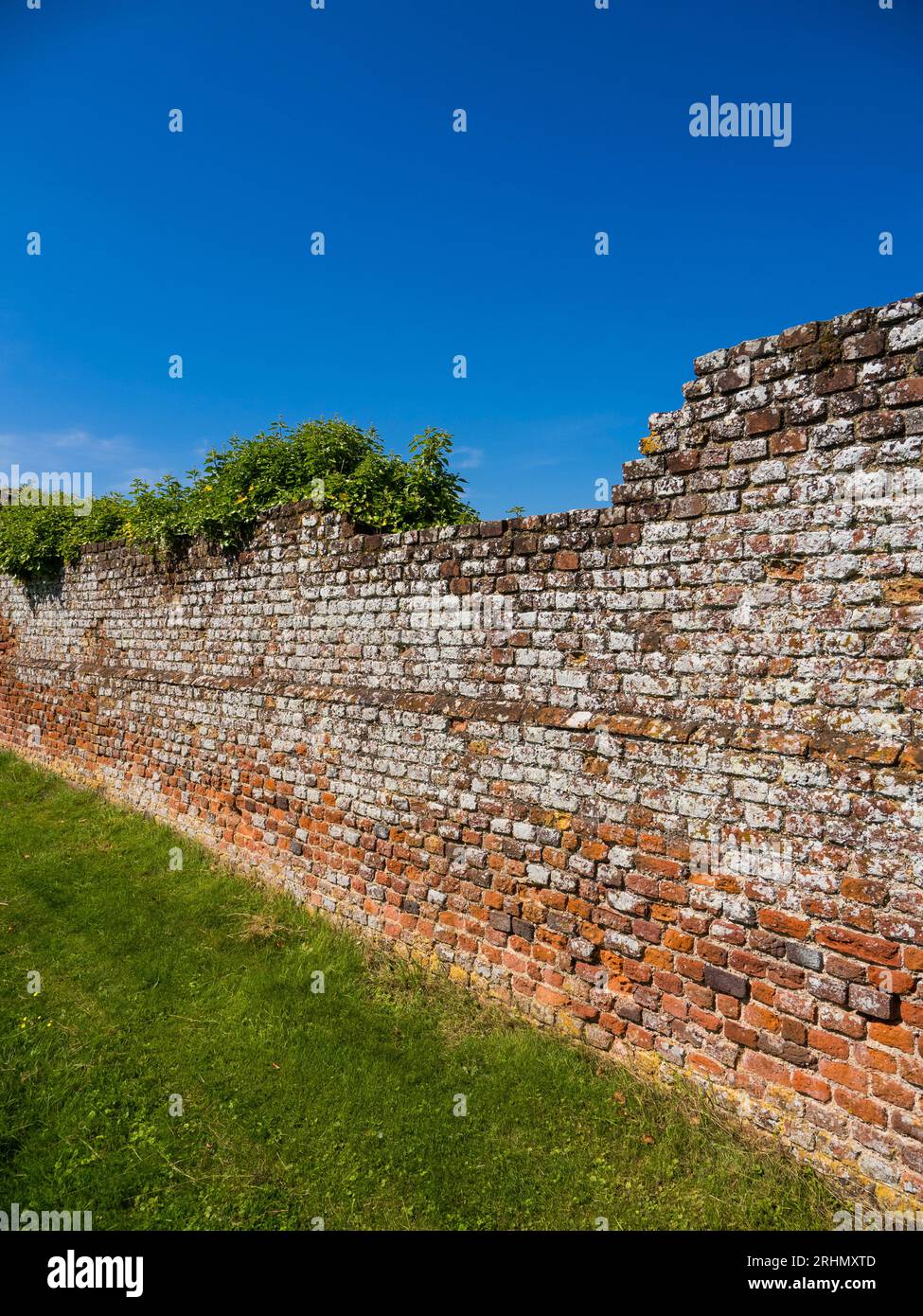 Ruined Garden Wall. Old Tudor, Walled Garden, Basing House, Old Basing ...