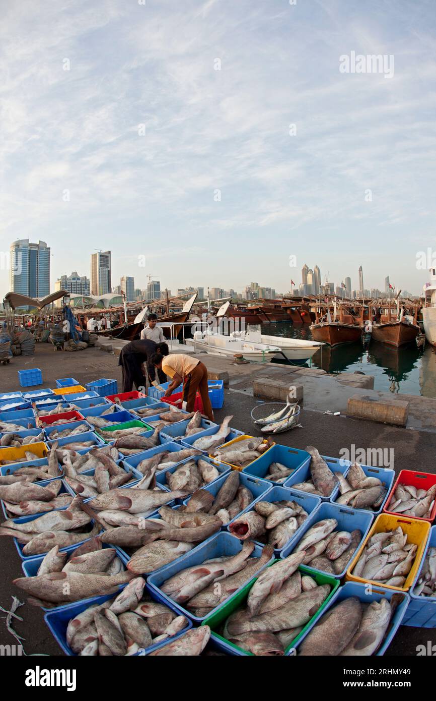 United Arab Emirates, Abu Dhabi, skyline as seen from the Mina fish ...