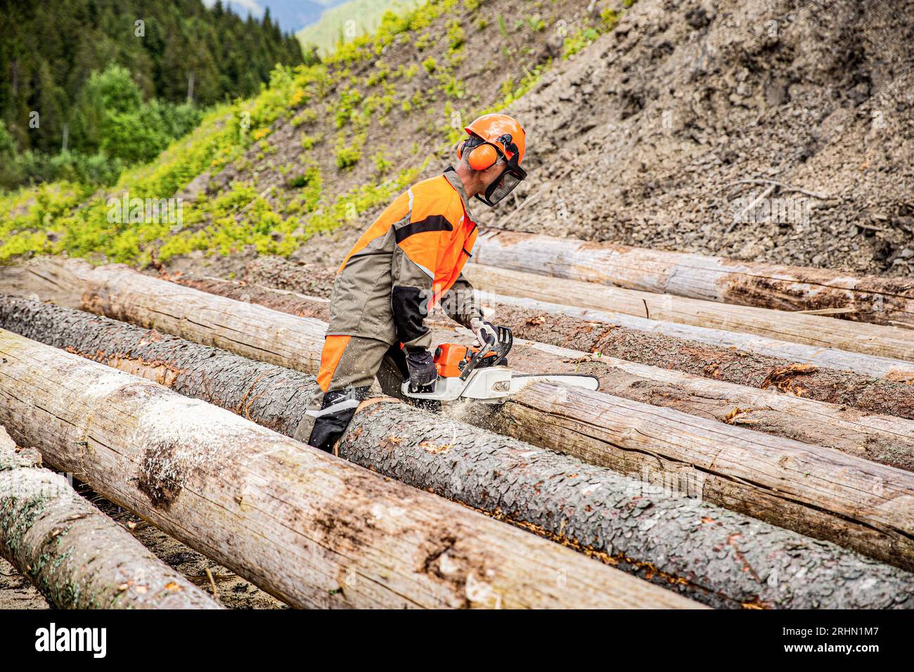Deforestation, forest cutting concept. Woodcutter lumberjack is man ...
