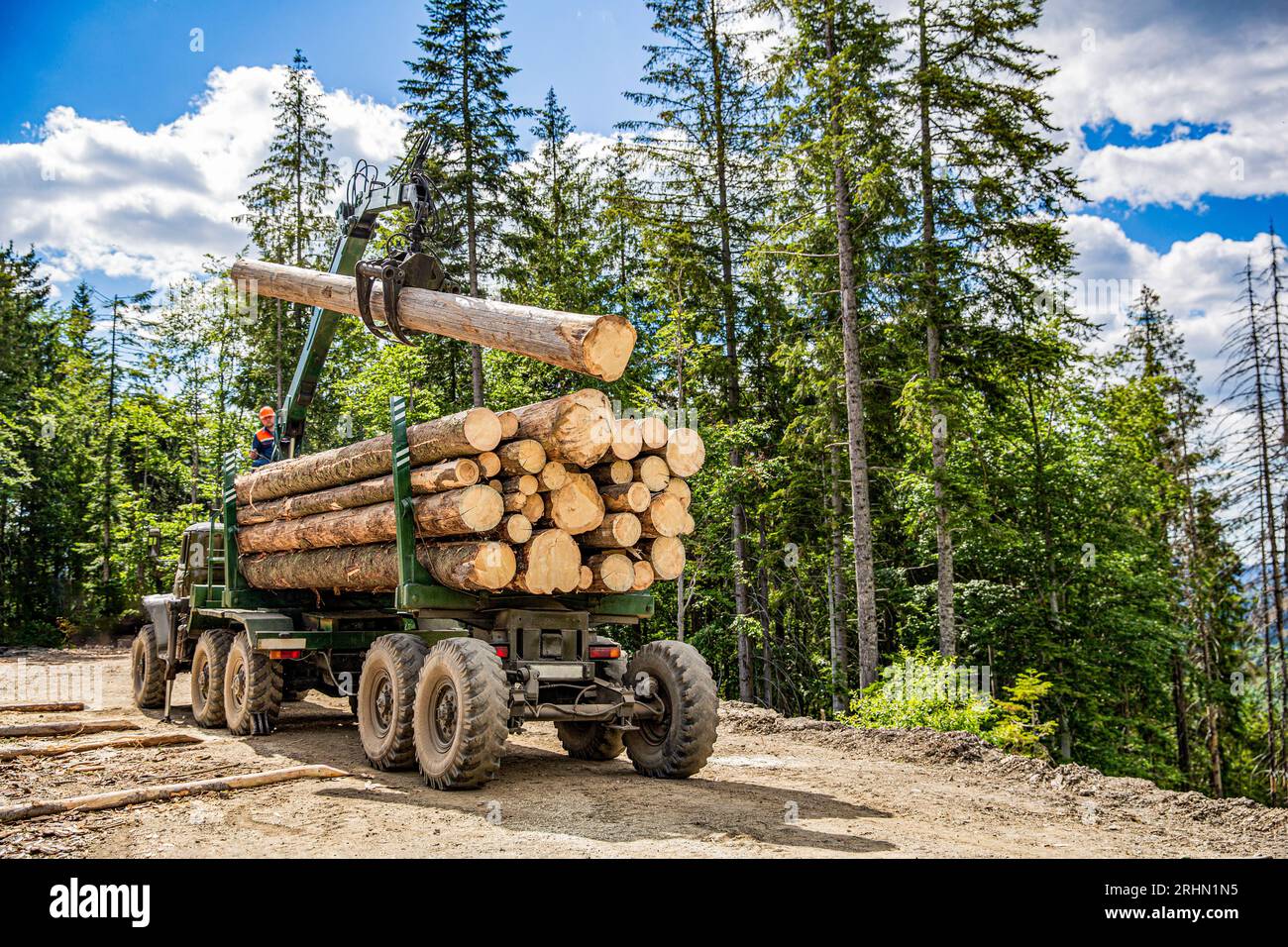 Forest industry. Wheel-mounted loader, timber grab. Felling of trees ...