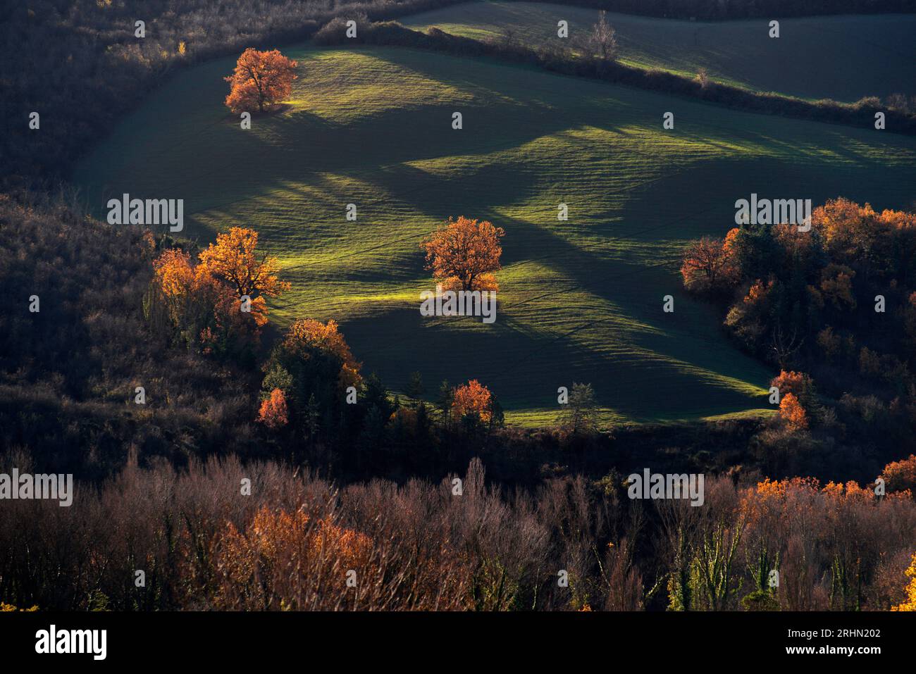 Colori autunnali hi-res stock photography and images - Alamy