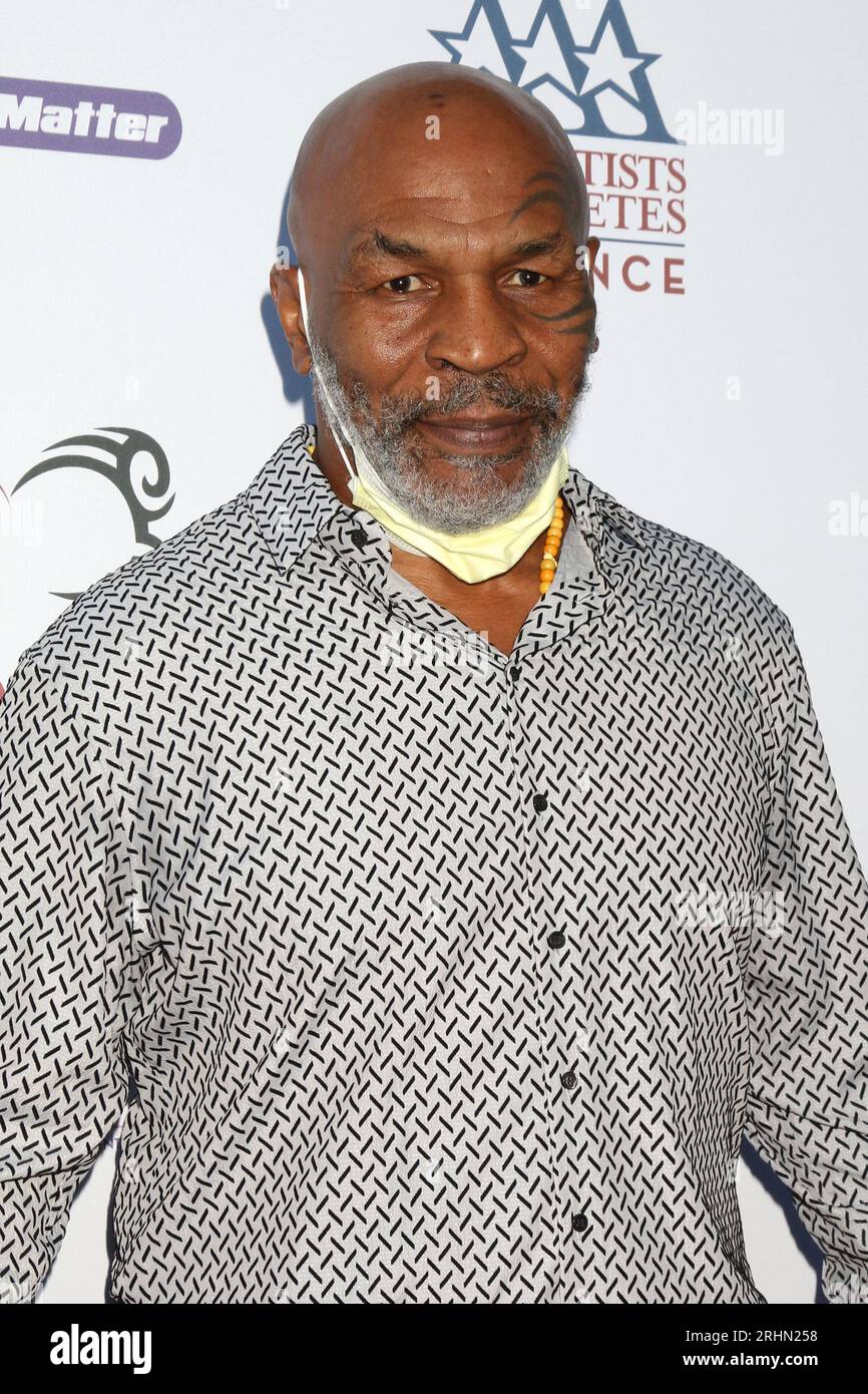 LOS ANGELES - AUG 17: Mike Tyson at the Mike Tyson Cares And We2Matter ...