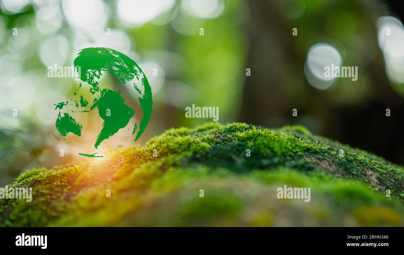 Crystal ball on moss in green forest. Environment concept Ecology and ...