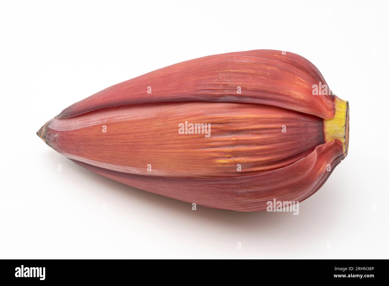 Banana heart or banana flower isolated on white background Stock Photo ...